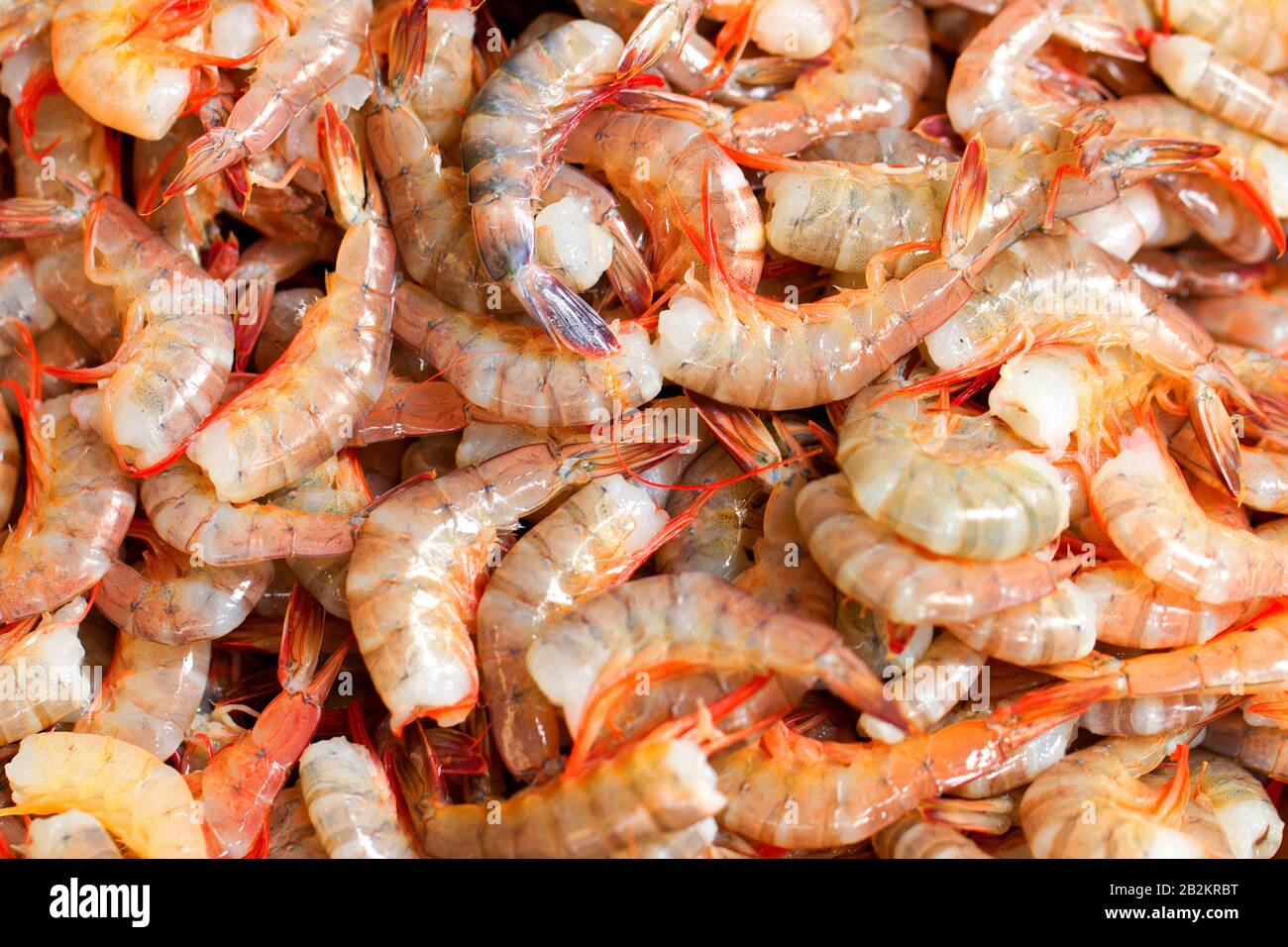 Fresh Shrimp Ready To Be Sold Stock Photo - Alamy