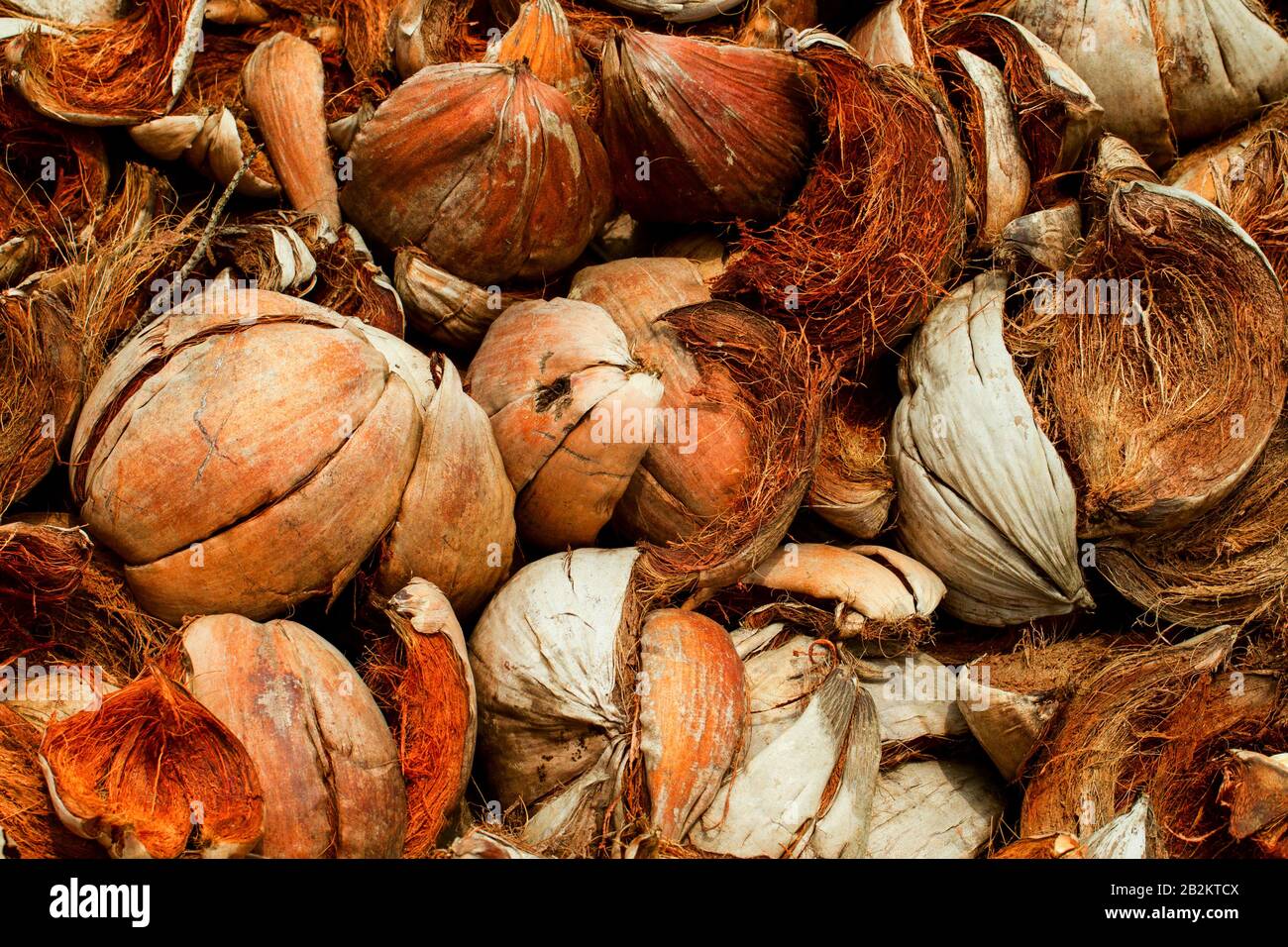 Coconut shells hi-res stock photography and images - Alamy