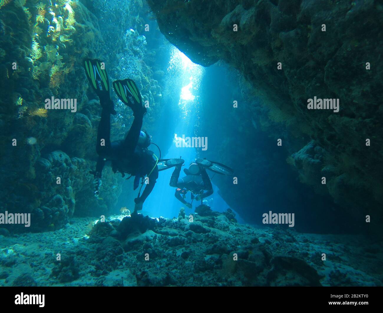 Flaschentaucher hi-res stock photography and images - Alamy