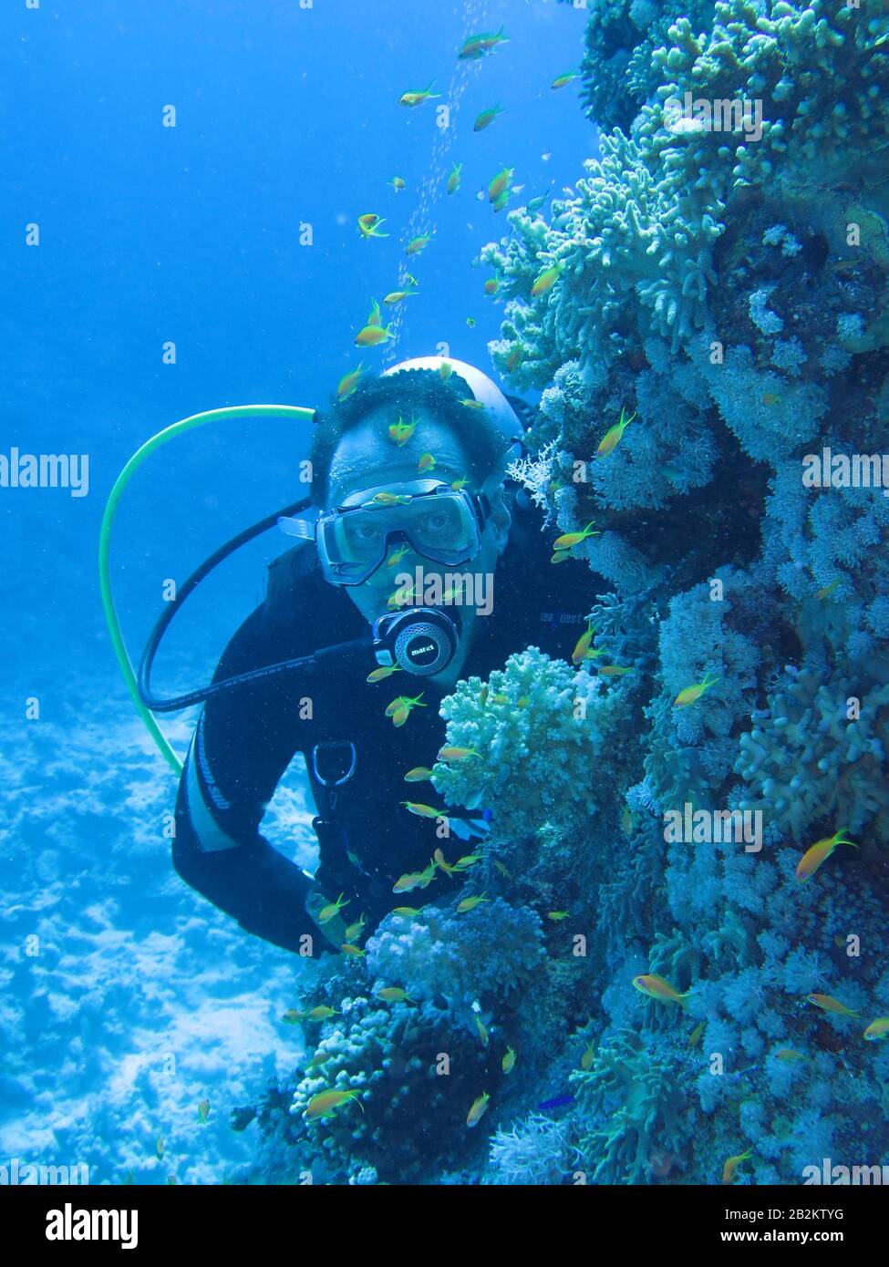 Taucher, St. Johns Riff, Rotes Meer, Aegypten Stock Photo - Alamy