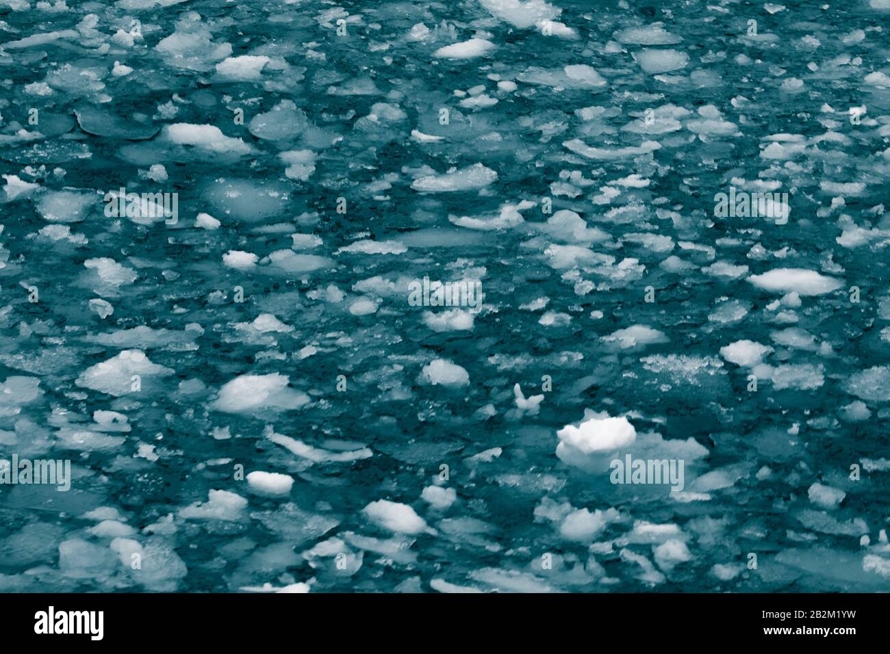 Floating ice in Spitsbergen, melting glaciers Stock Photo - Alamy