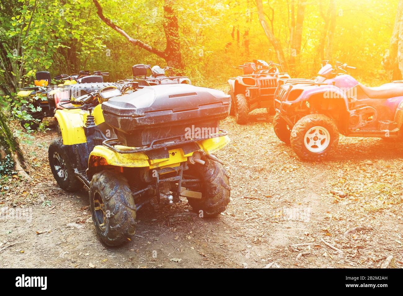 A group of ATVs in a forest covered in mud. Wheels and elements of all ...