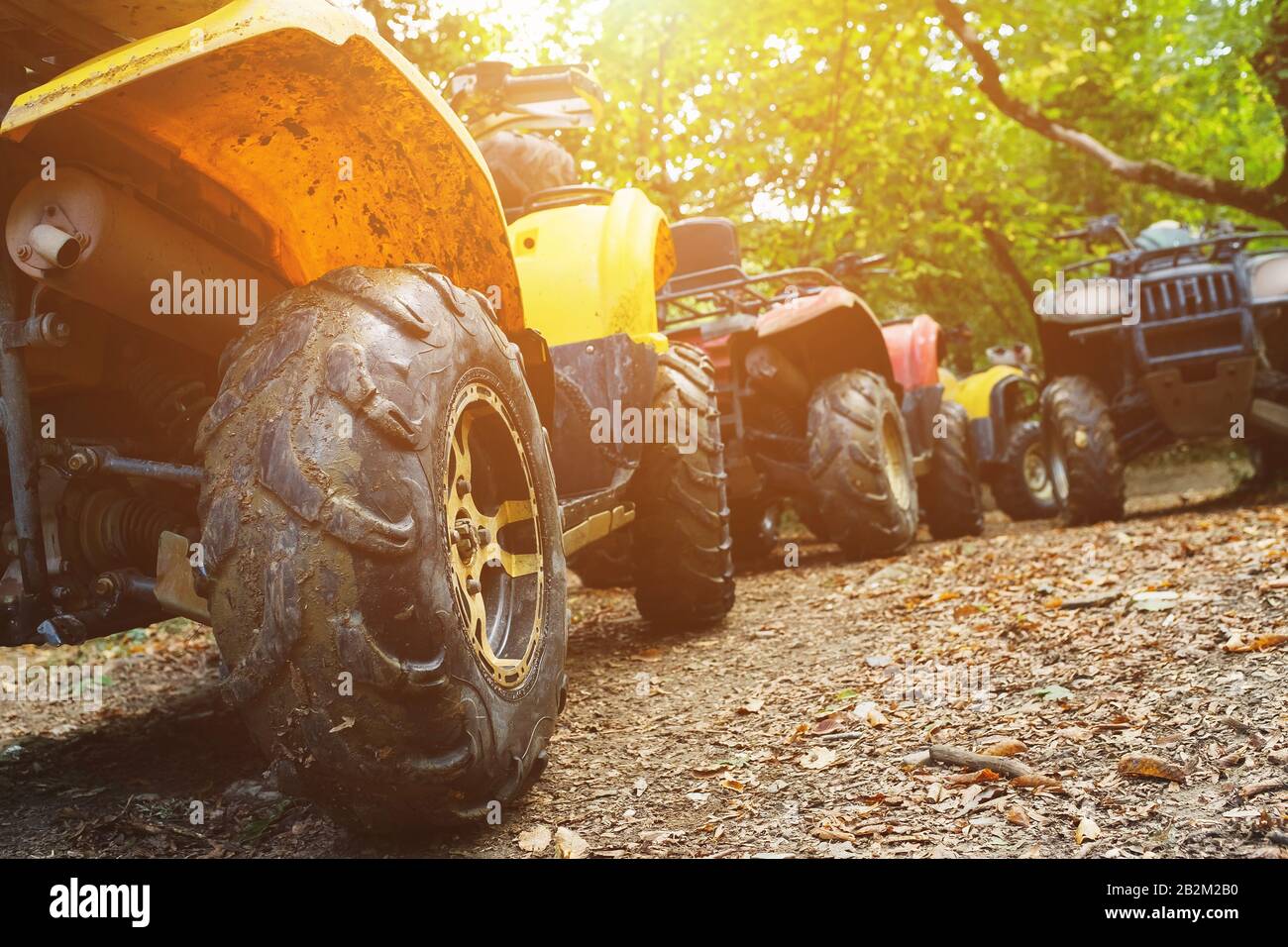 A group of ATVs in a forest covered in mud. Wheels and elements of all ...