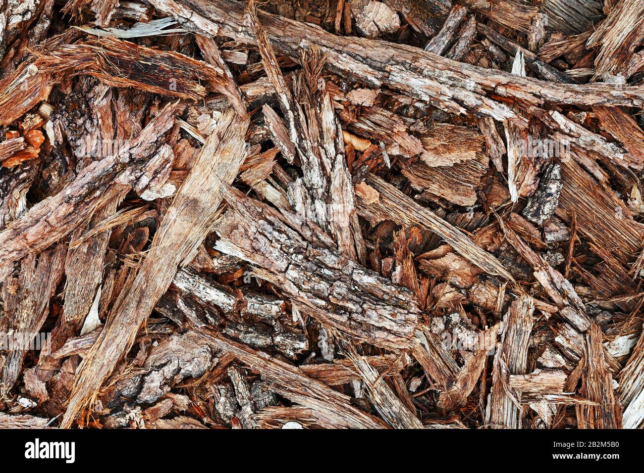 Wood chip bark ground cover hi-res stock photography and images - Alamy
