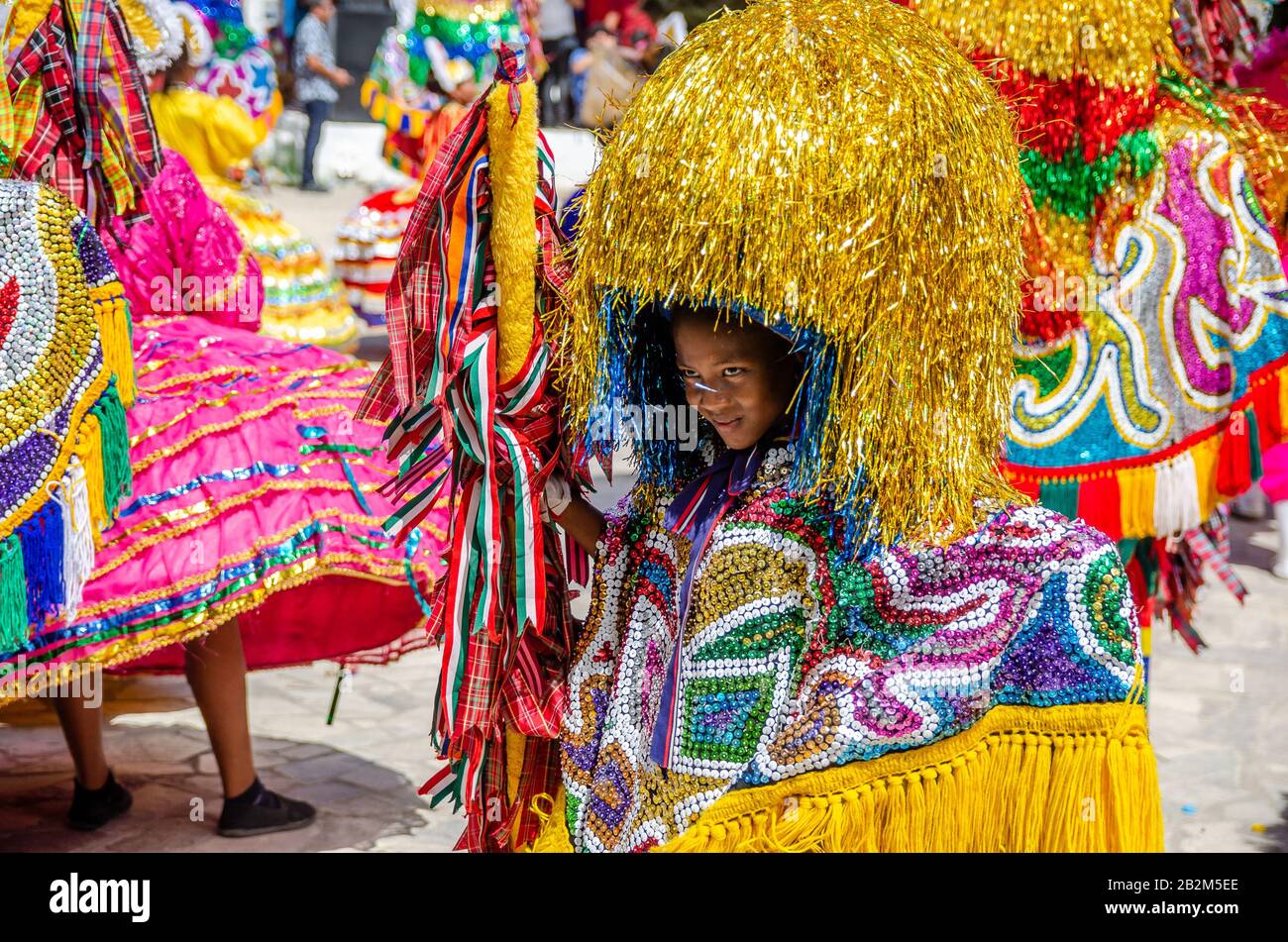 Traditional Brazilian Music
