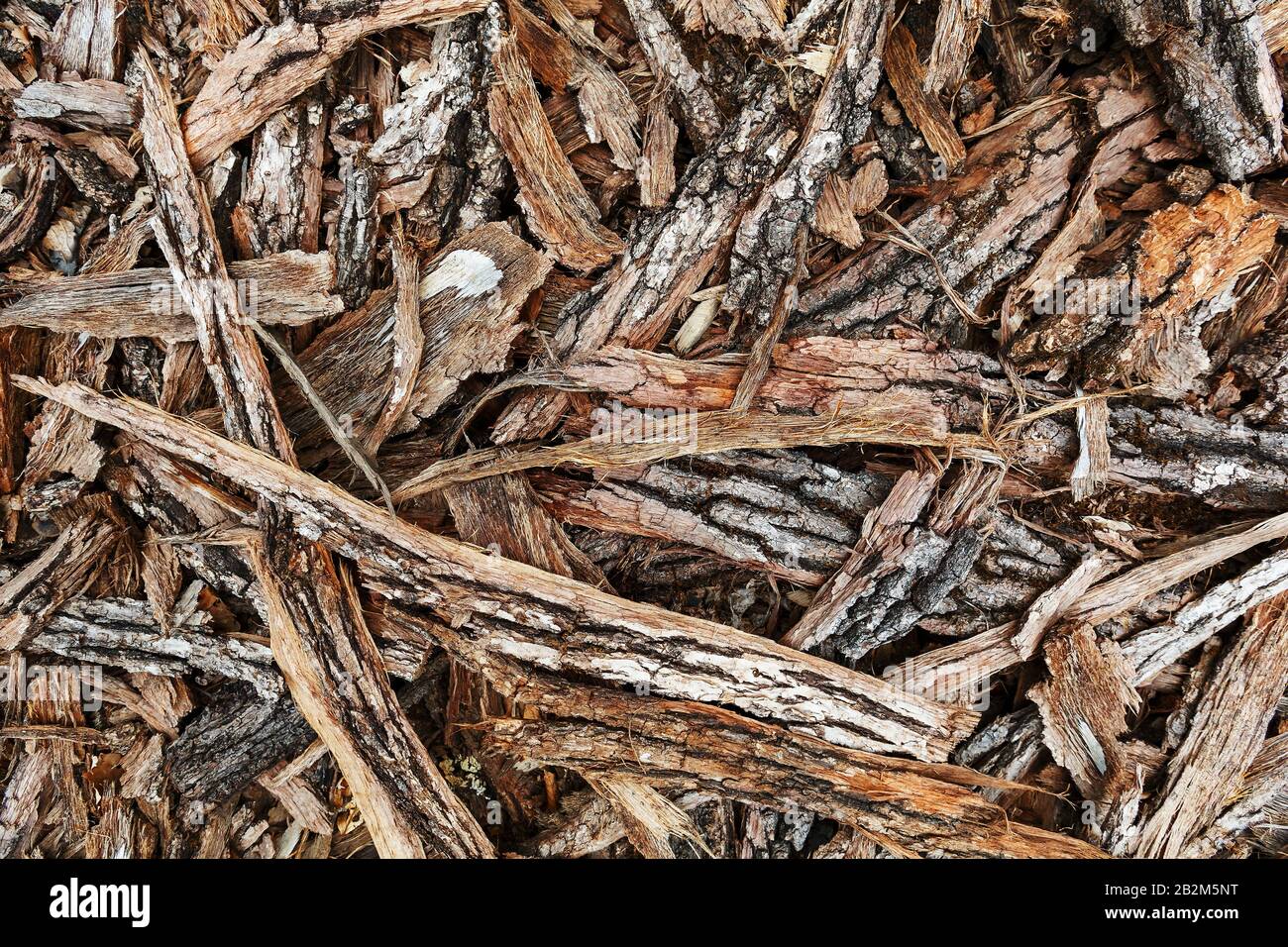 Chips of tree bark on the ground. Sawmill. Ecological background. Full screen closeup Stock ...
