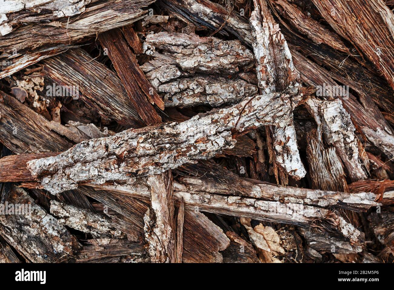 Chips of tree bark on the ground. Sawmill. Ecological background. Full screen closeup Stock ...