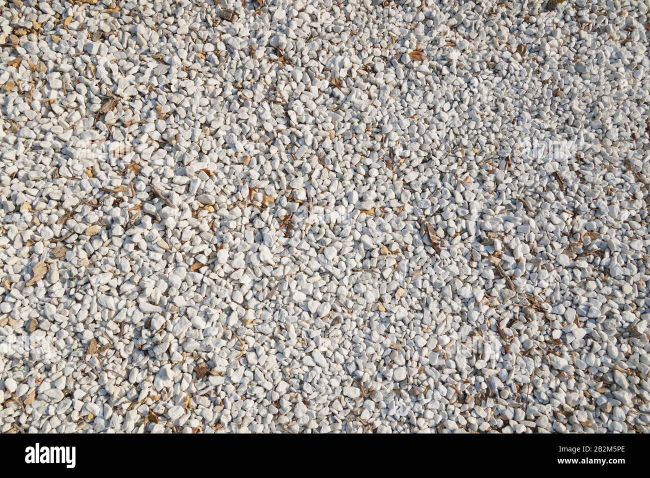 White and Brown pebble stone texture for background. The texture of ...