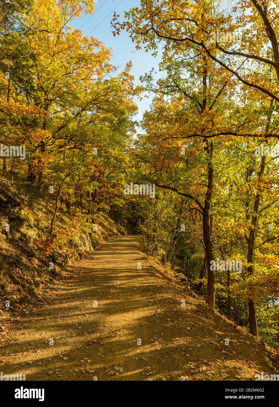 dusty foot path in autumn on a side hill with trees around, stribro ...