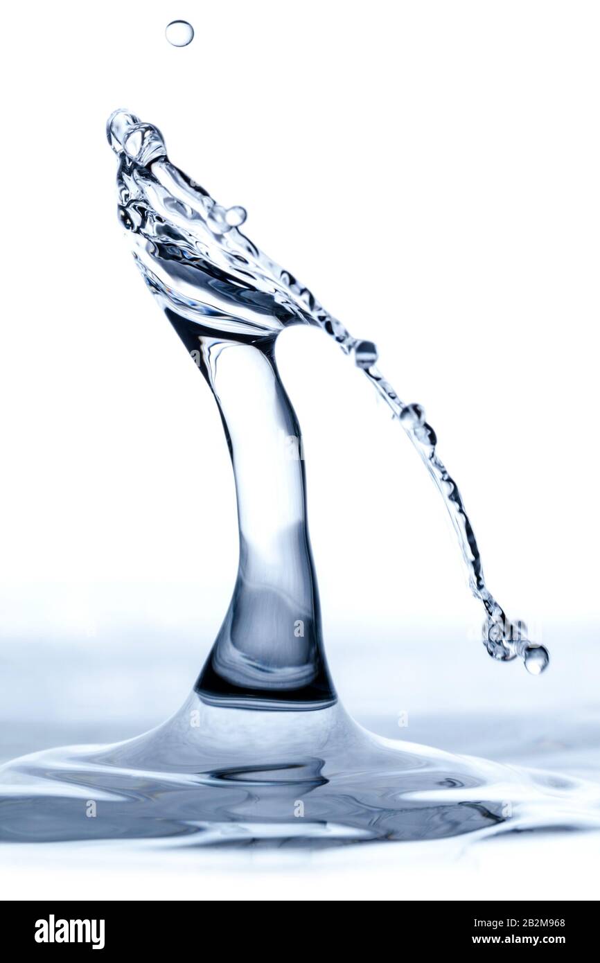 Water Drop Impact On The Liquid Surface White Background Stock Photo ...