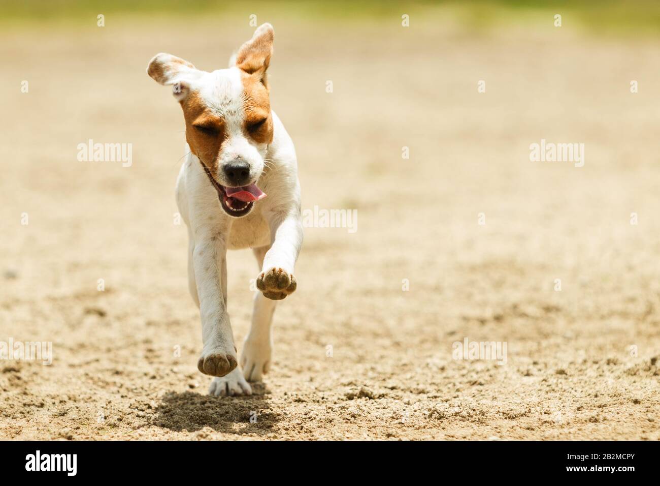 Baby running race hi-res stock photography and images - Alamy