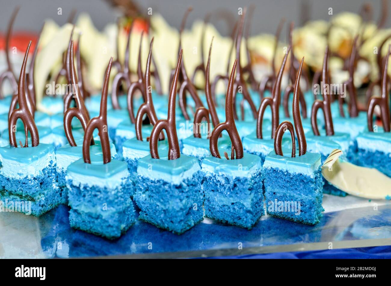 Tray full of cupcakes Stock Photo - Alamy