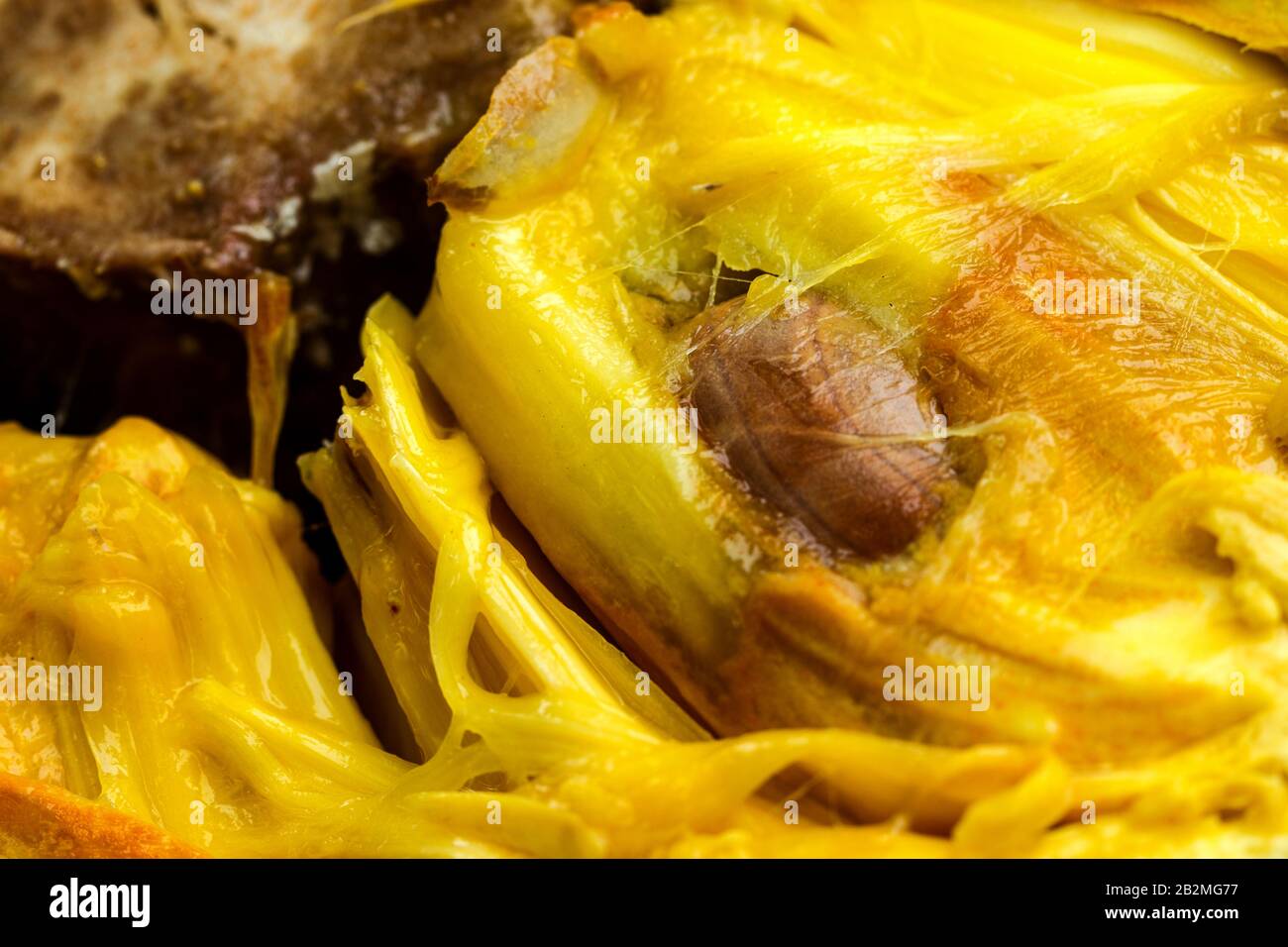 Seed center hi-res stock photography and images - Alamy