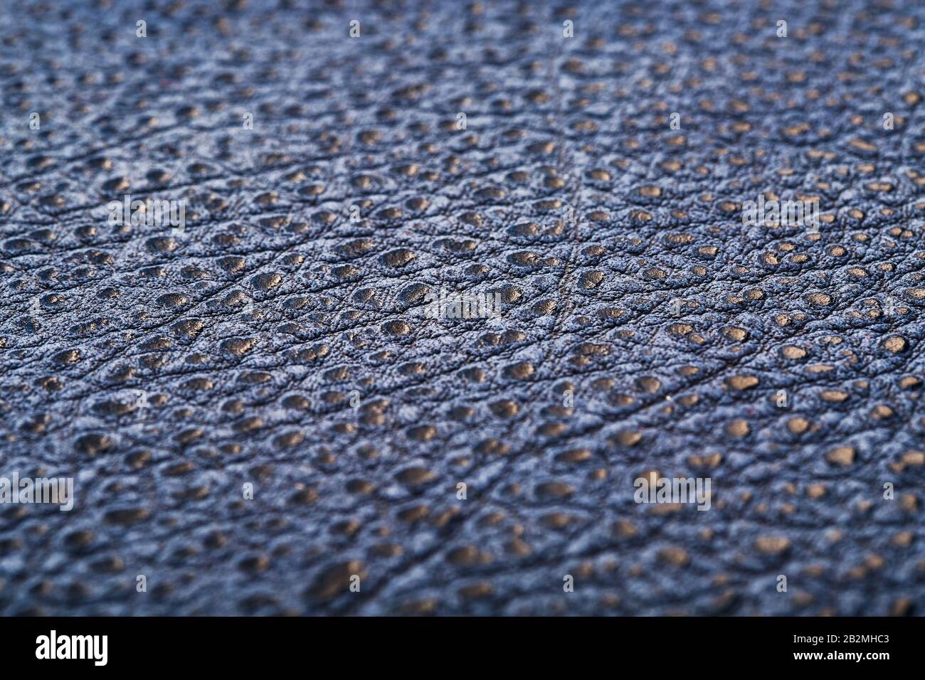Blue textured leather reptiles, used texture for the background. Lizard ...