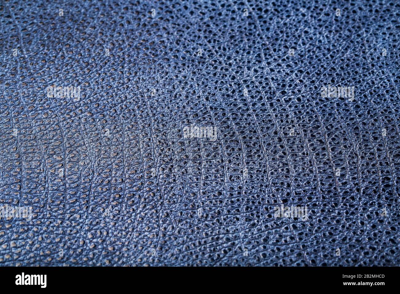 Blue textured leather reptiles, used texture for the background. Lizard ...