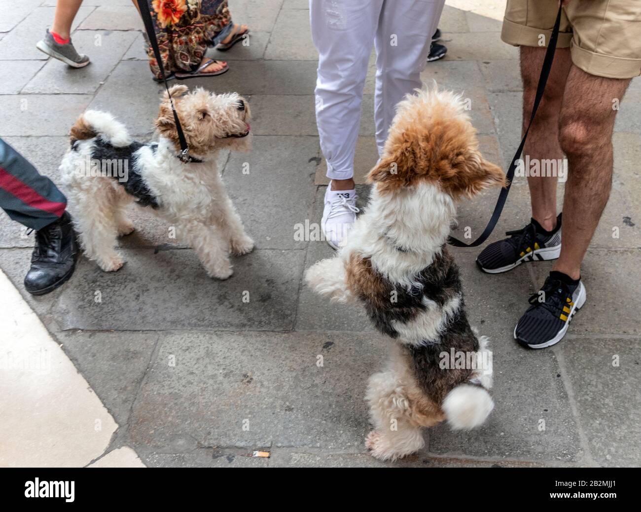 Two people talking crowd of people hi-res stock photography and images ...