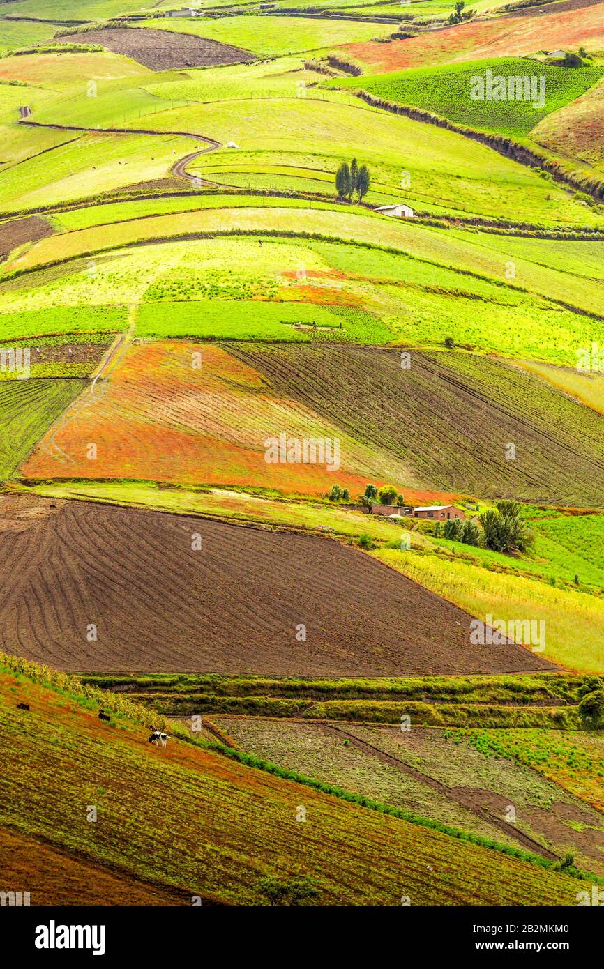 High Altitude Farming In Ecuadorian Andean About 4000M Altitude Stock ...