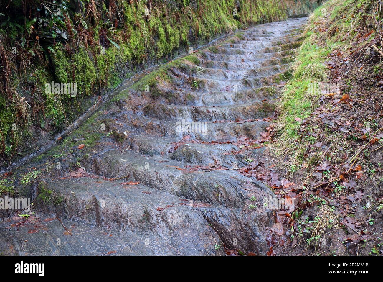 Roman steps wales hi-res stock photography and images - Alamy