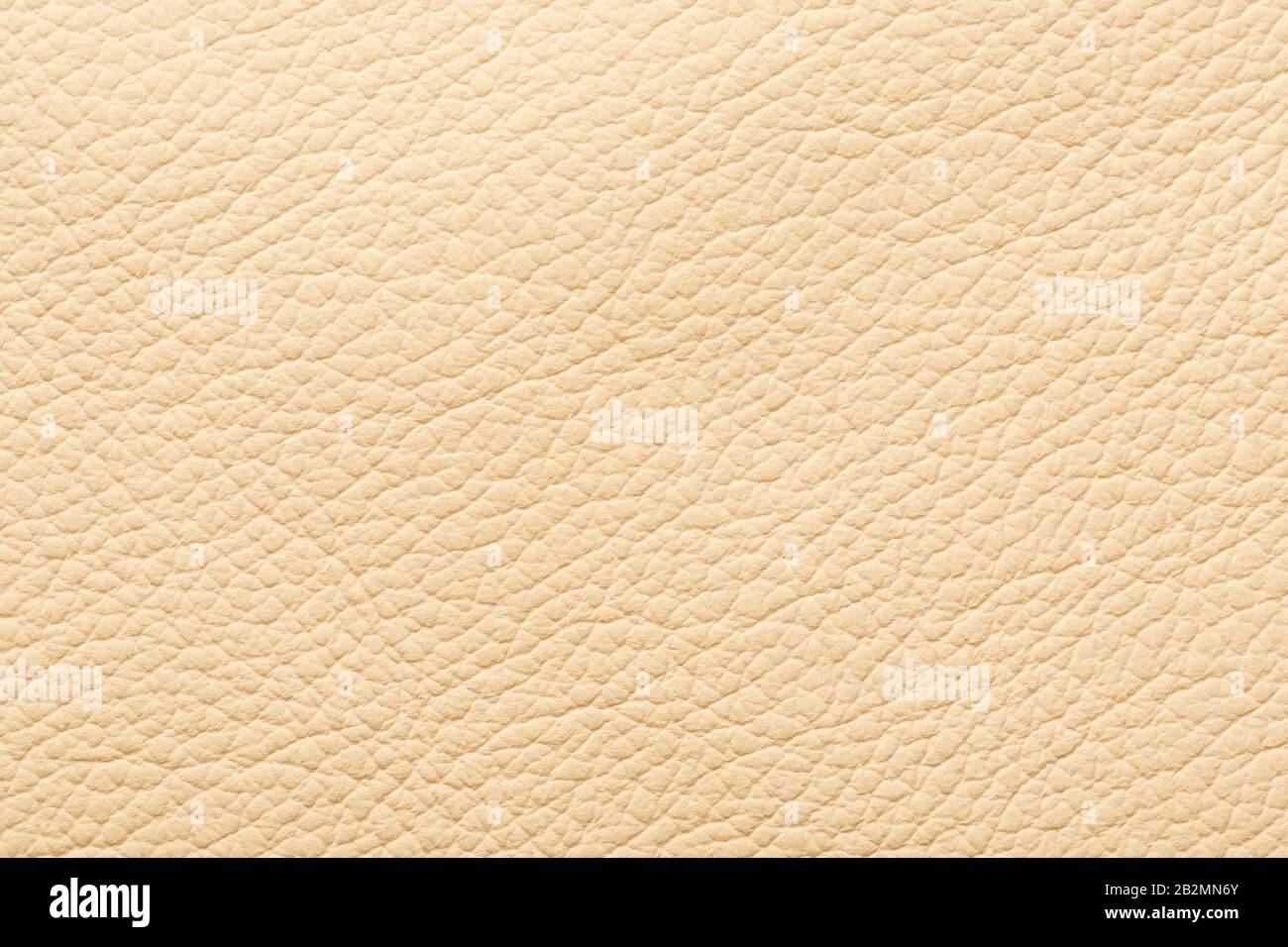 Textured beige leather closeup. Full frame, close up. MacroTexture of ...