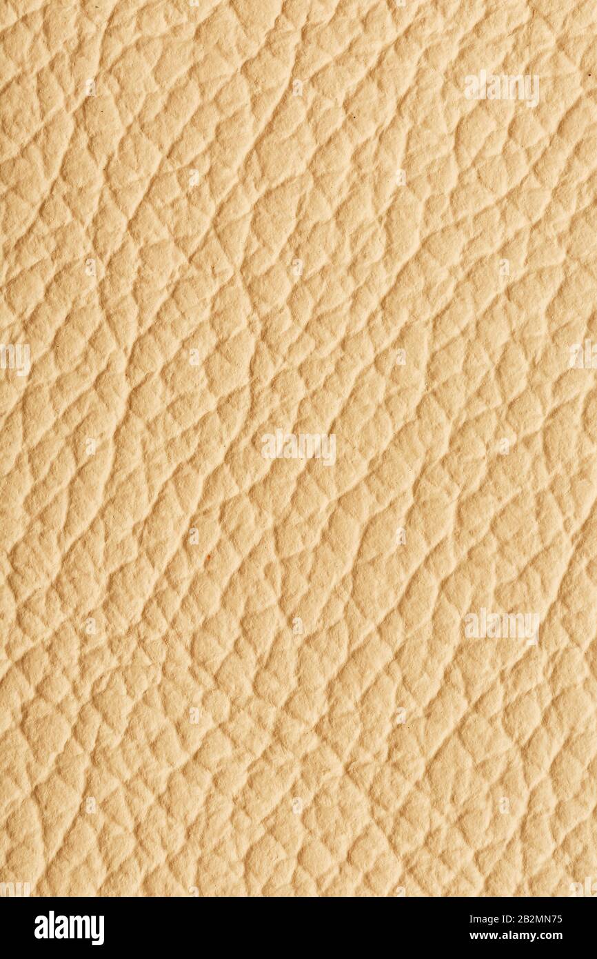 Textured beige leather closeup. Full frame, close up. MacroTexture of ...