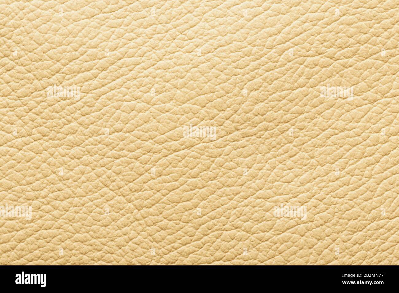 Textured beige leather closeup. Full frame, close up. MacroTexture of ...