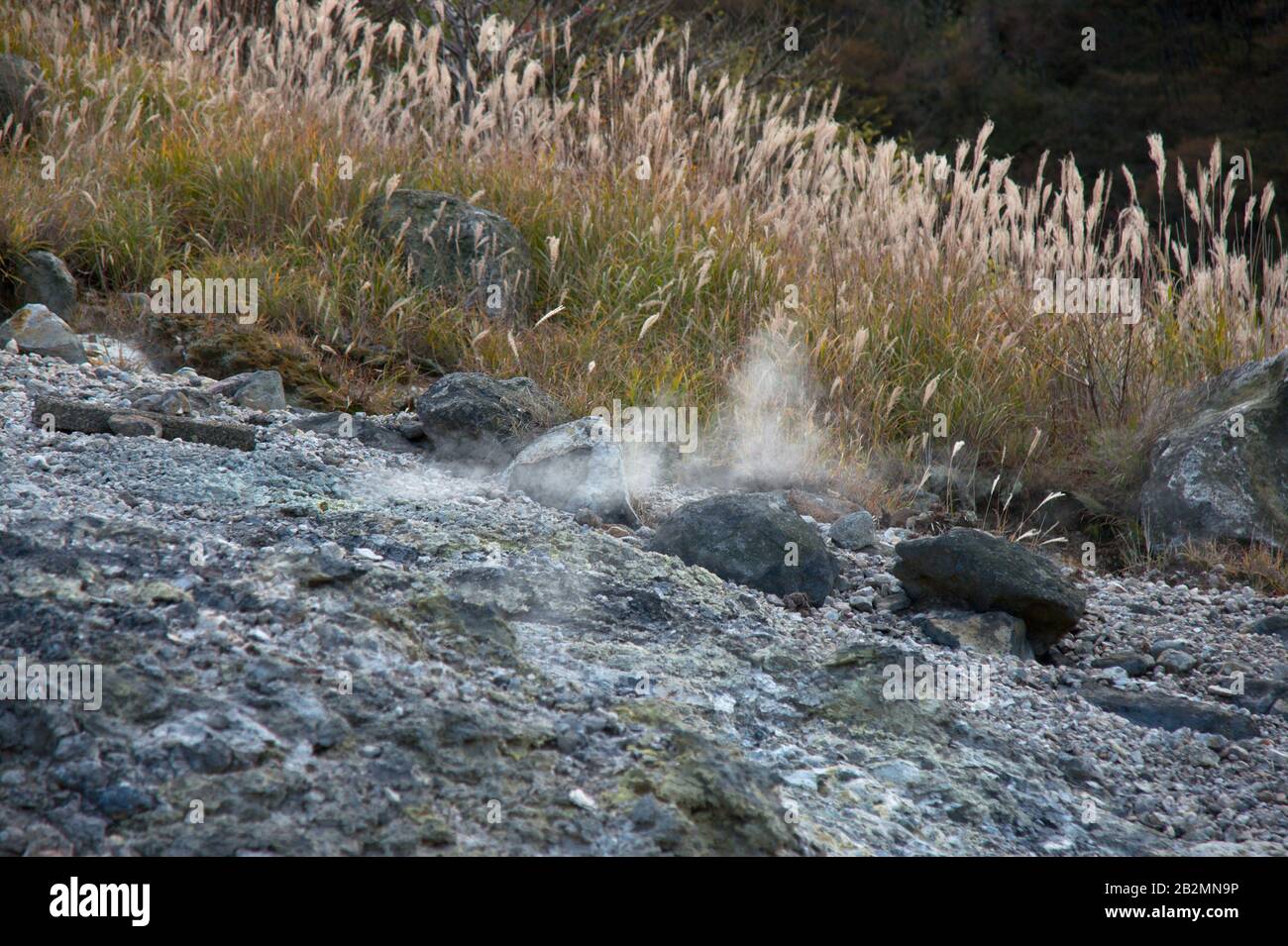 Tourists attraction in Hakone, japan geysers and hot springs Stock ...