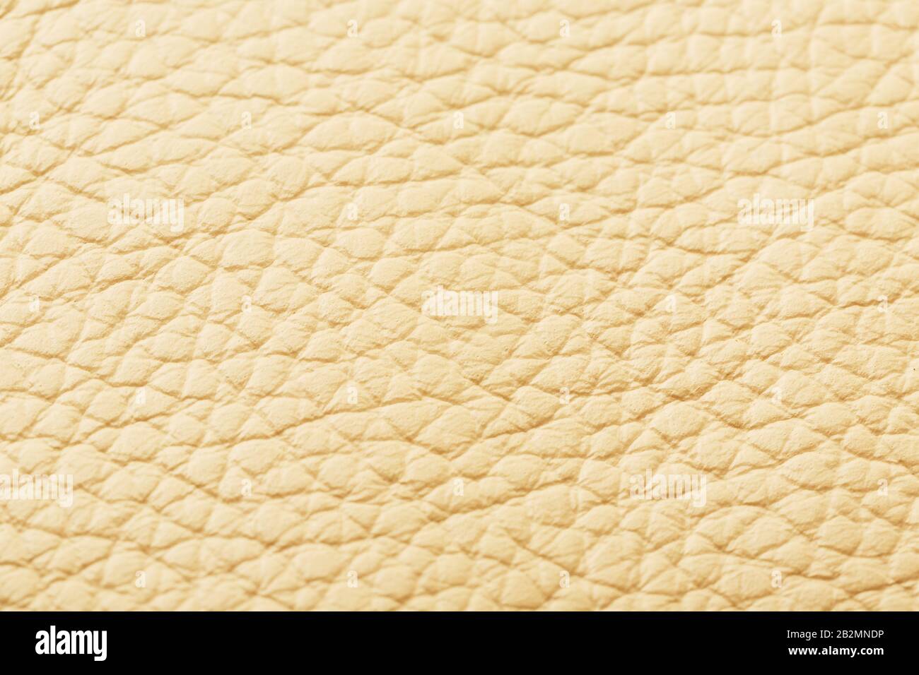 Textured beige leather closeup. Full frame, close up. MacroTexture of ...