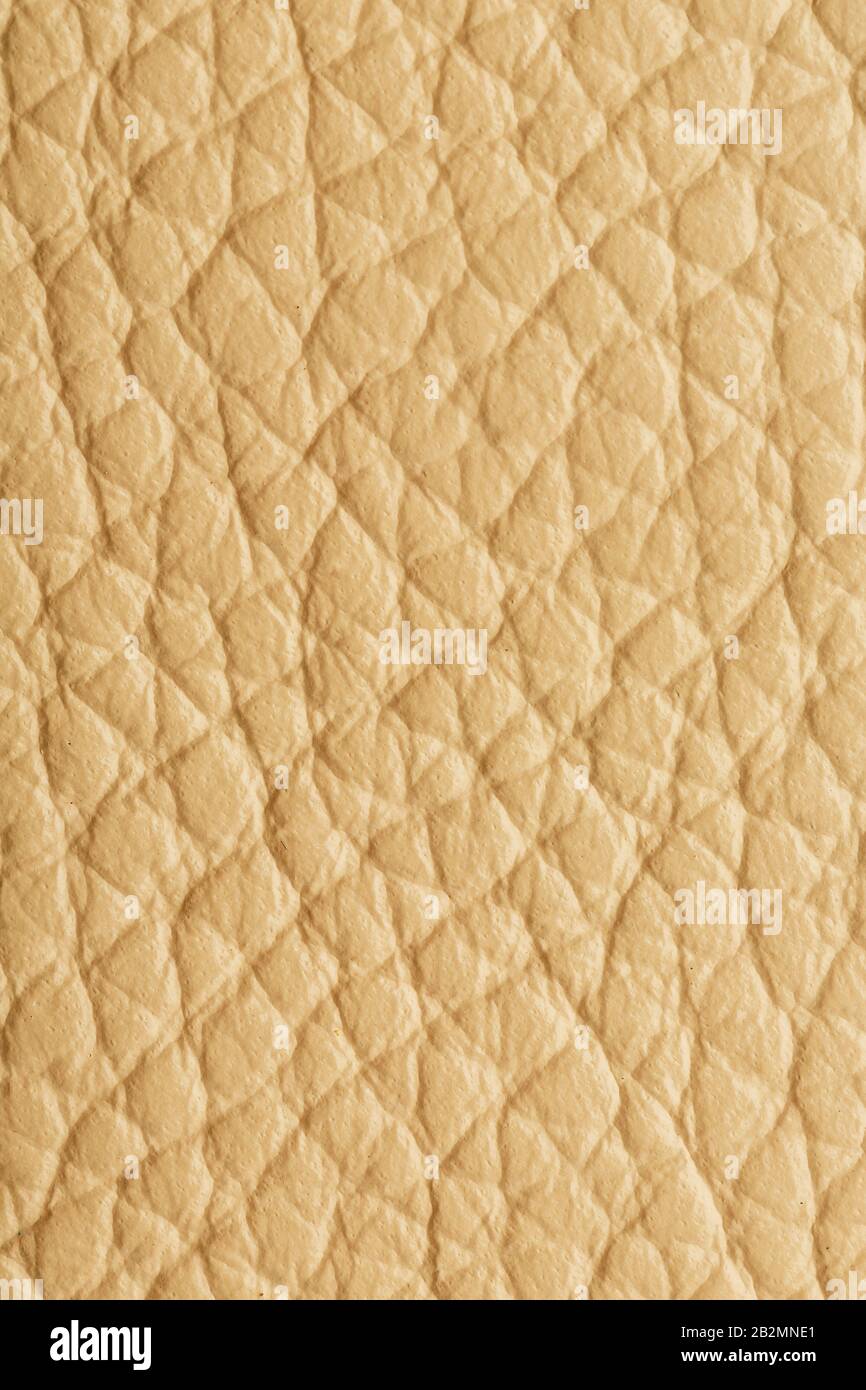 Textured beige leather closeup. Full frame, close up. MacroTexture of ...