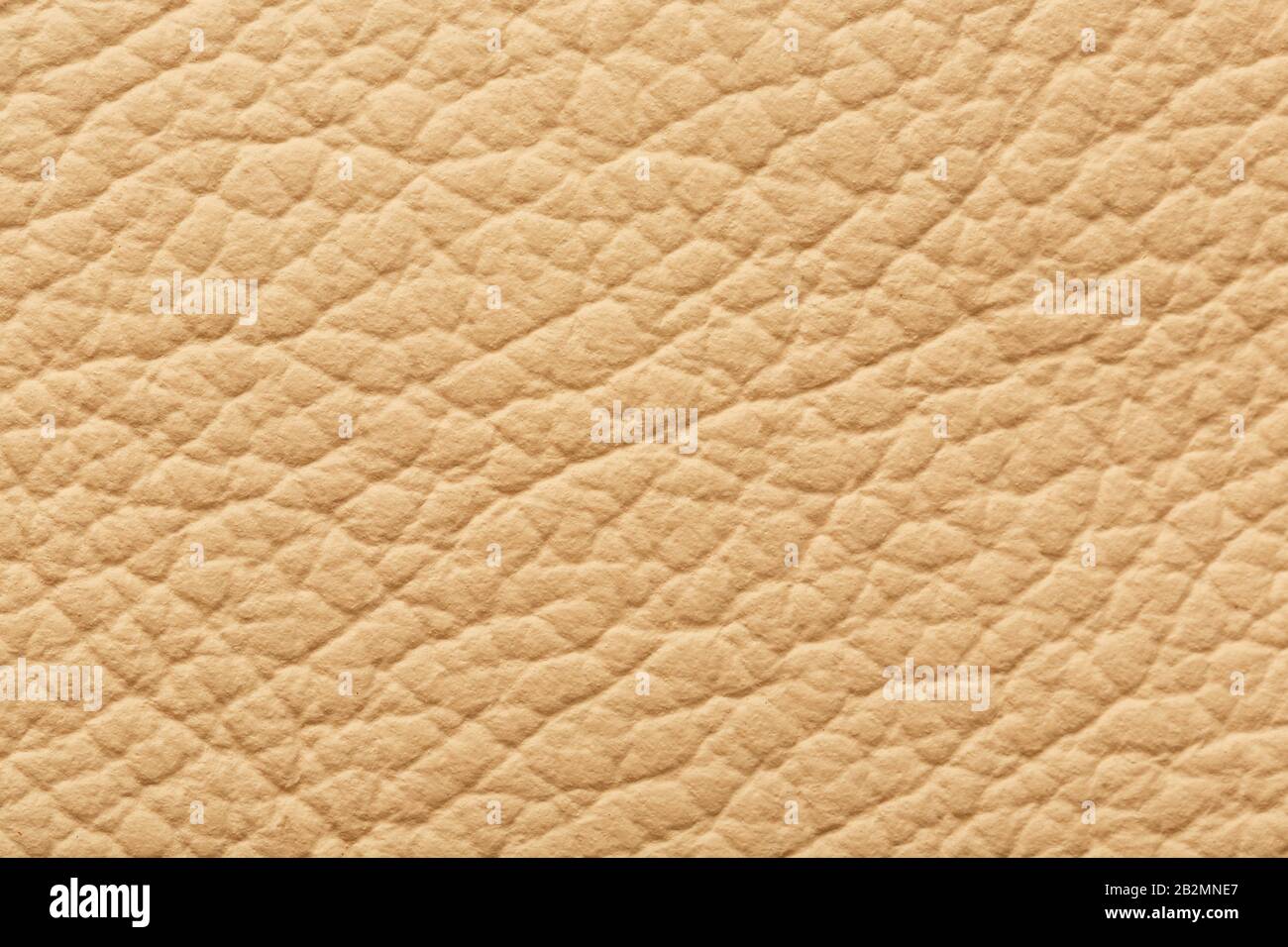 Textured beige leather closeup. Full frame, close up. MacroTexture of ...