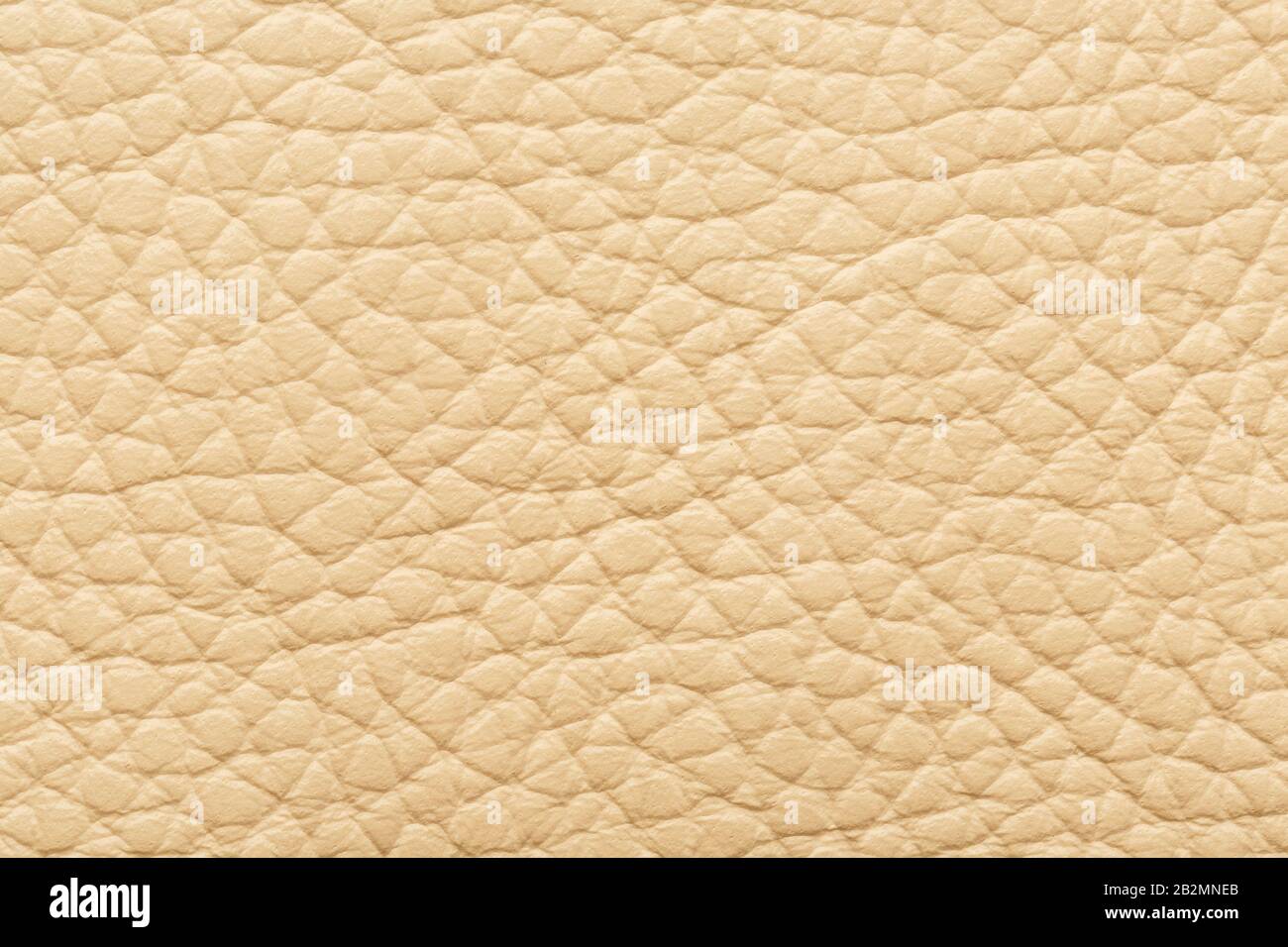 Textured beige leather closeup. Full frame, close up. MacroTexture of ...