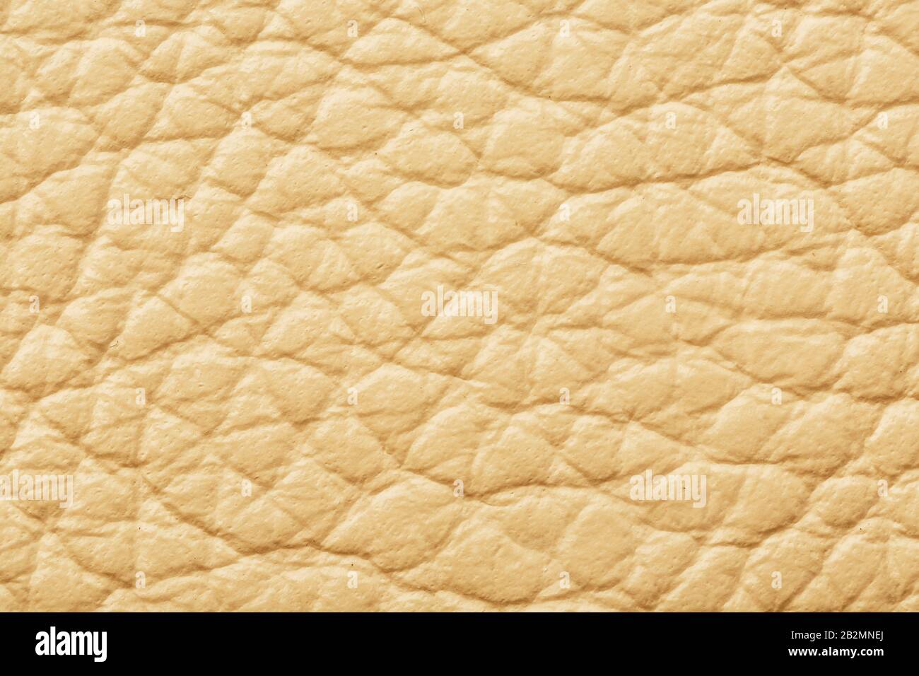 Textured beige leather closeup. Full frame, close up. MacroTexture of ...
