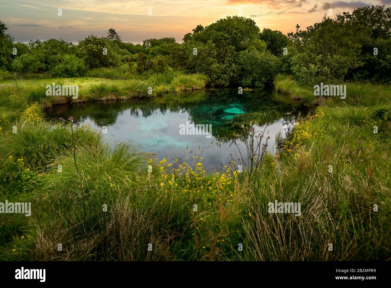 Groundwater ecosystem hi-res stock photography and images - Alamy