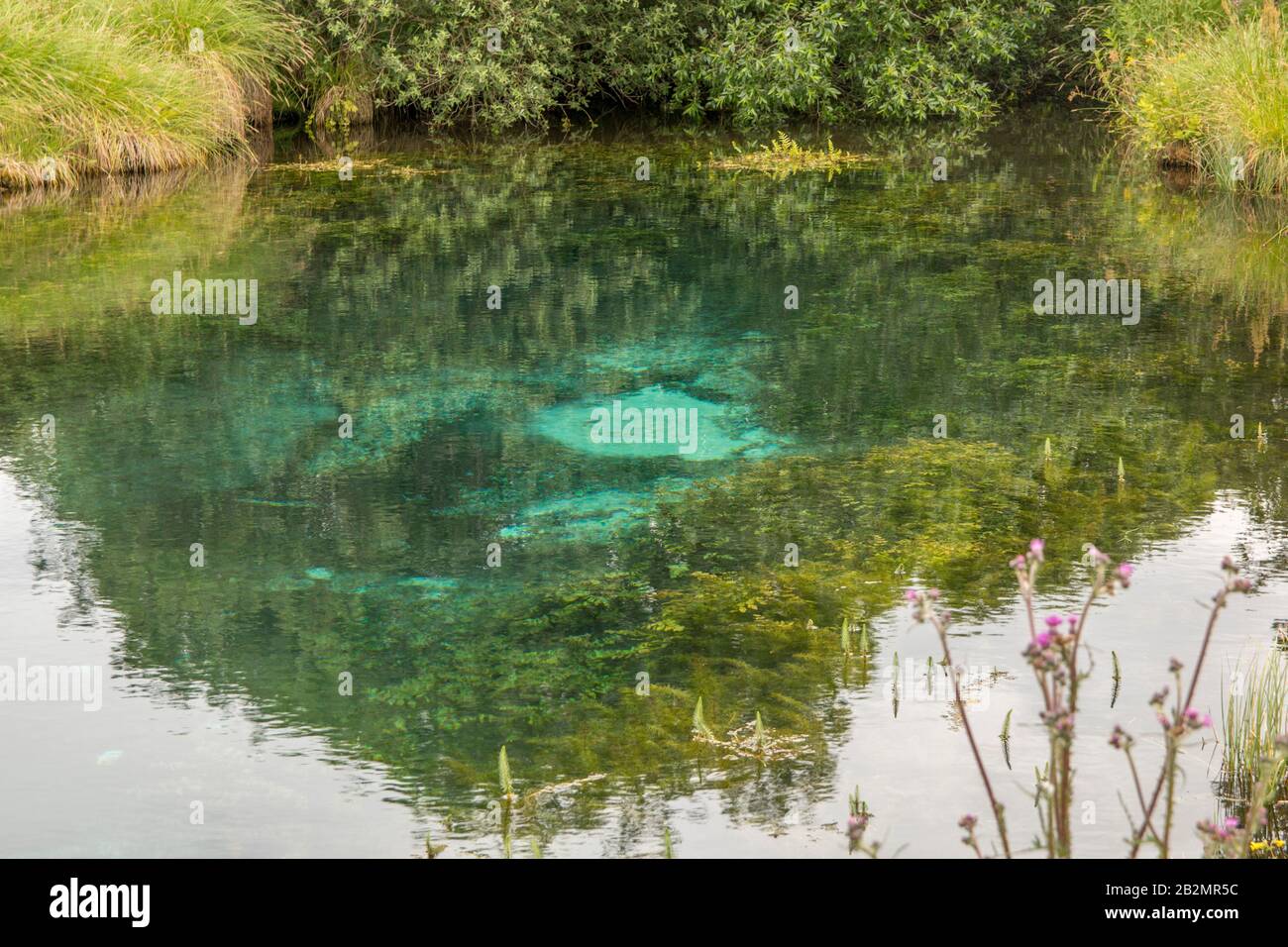 Groundwater ecosystem hi-res stock photography and images - Alamy
