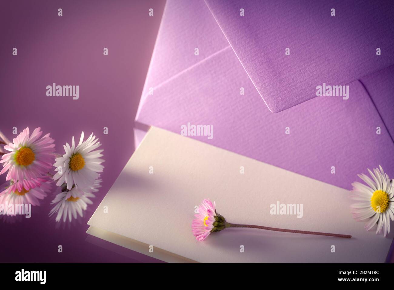 envelope and letter with daisies Stock Photo - Alamy