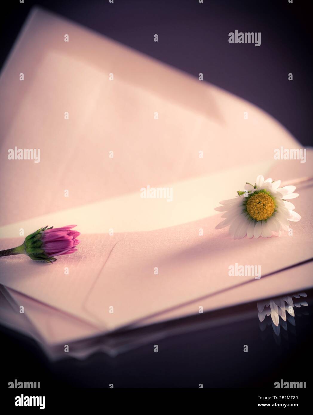 envelope and letter with daisies Stock Photo - Alamy