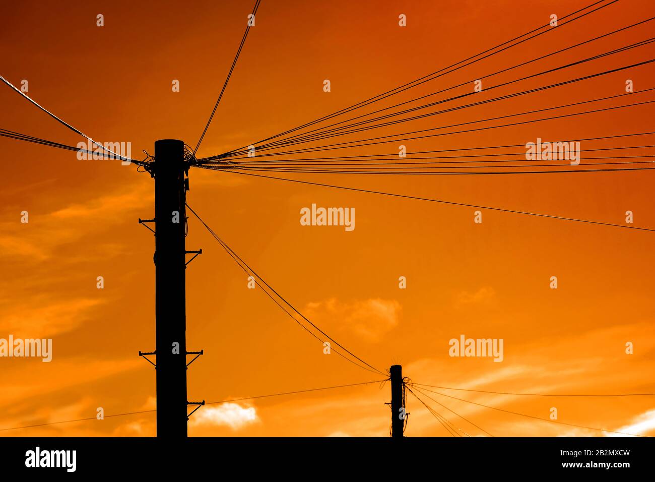 Wireless transmission cables and poles at sunset Stock Photo - Alamy