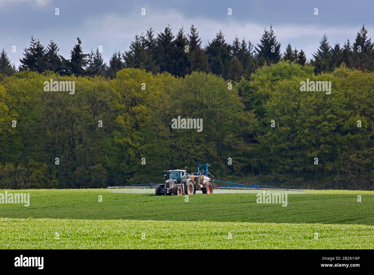 Farmer spraying pesticides / insecticides / weed killer / herbicide ...