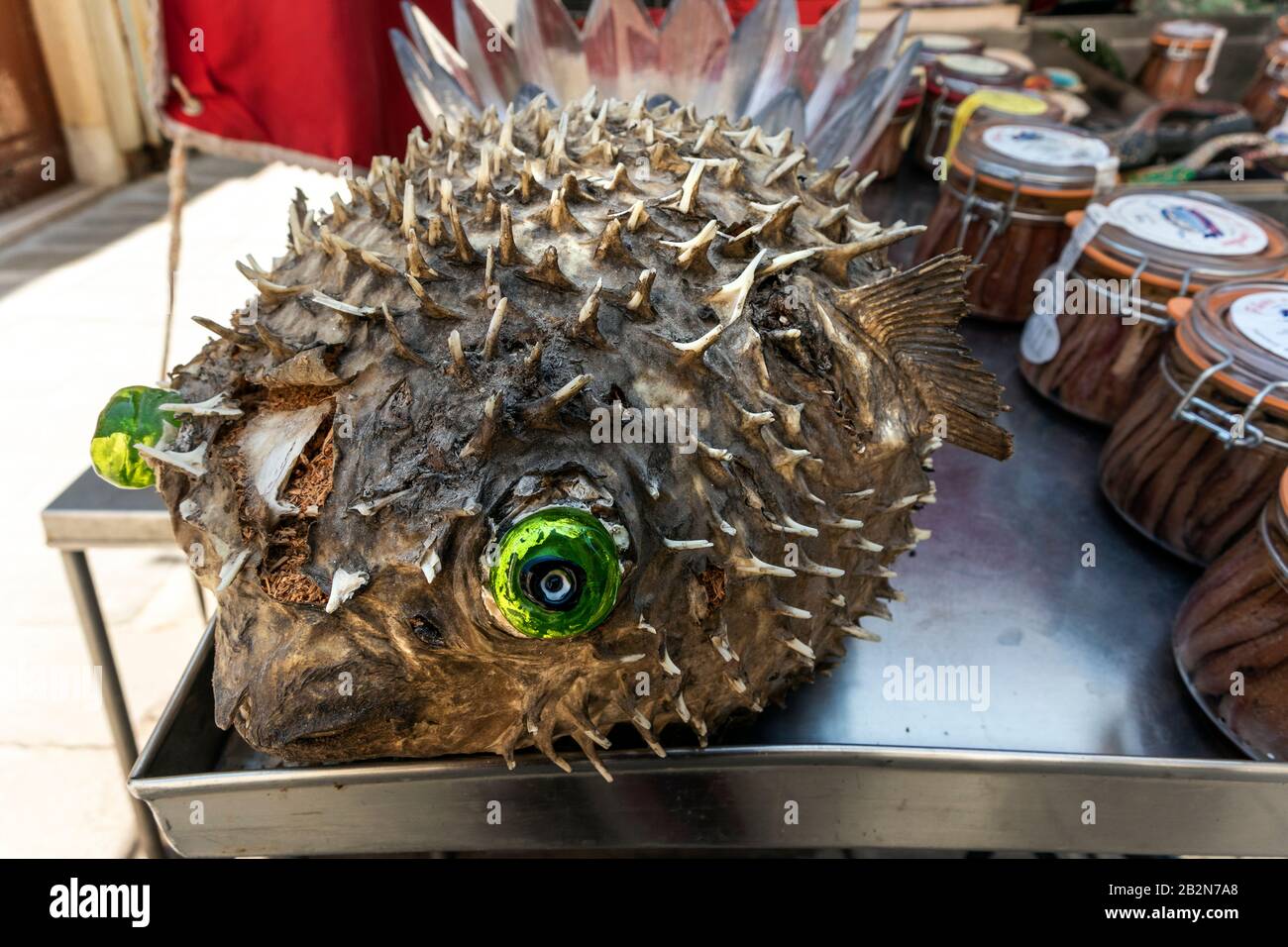 Puffer fish on display, market stall, Venice, italy Stock Photo - Alamy