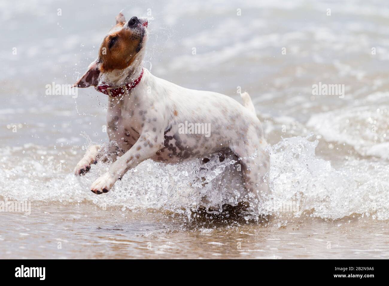 Smiling curve hi-res stock photography and images - Alamy
