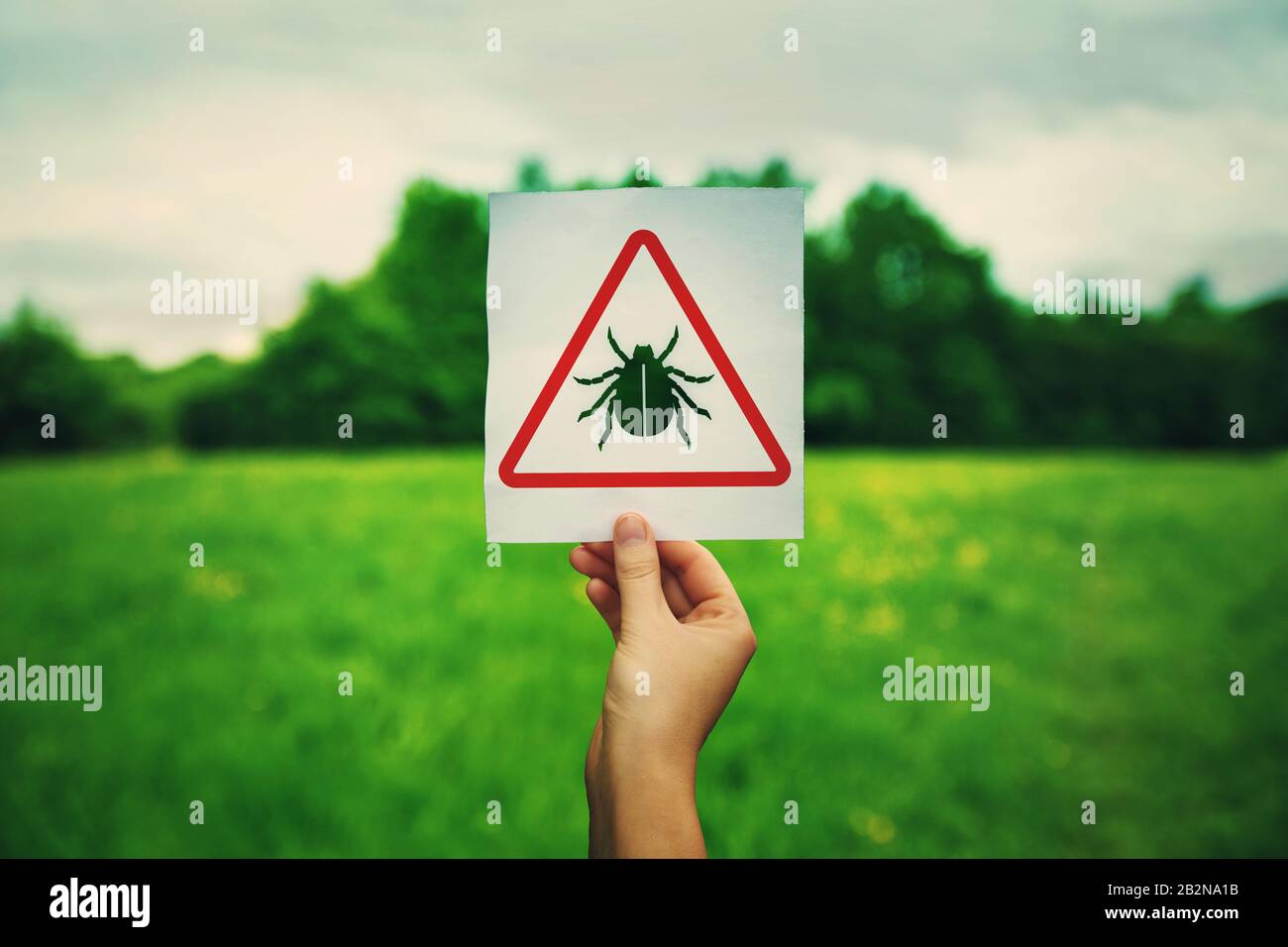 Hand holding a warning sign for ticks parasite danger over the park ...