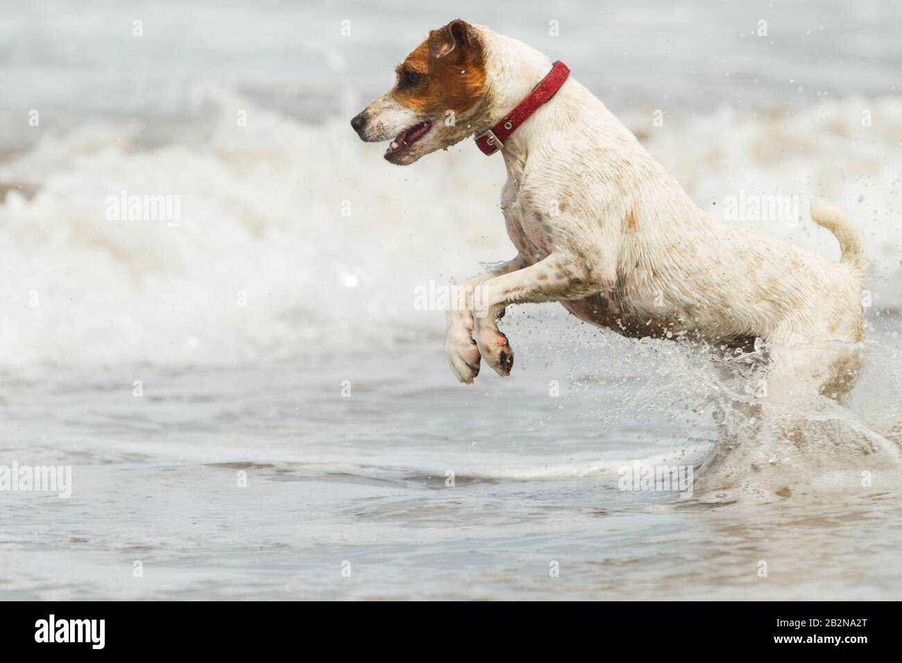 Smiling curve hi-res stock photography and images - Alamy