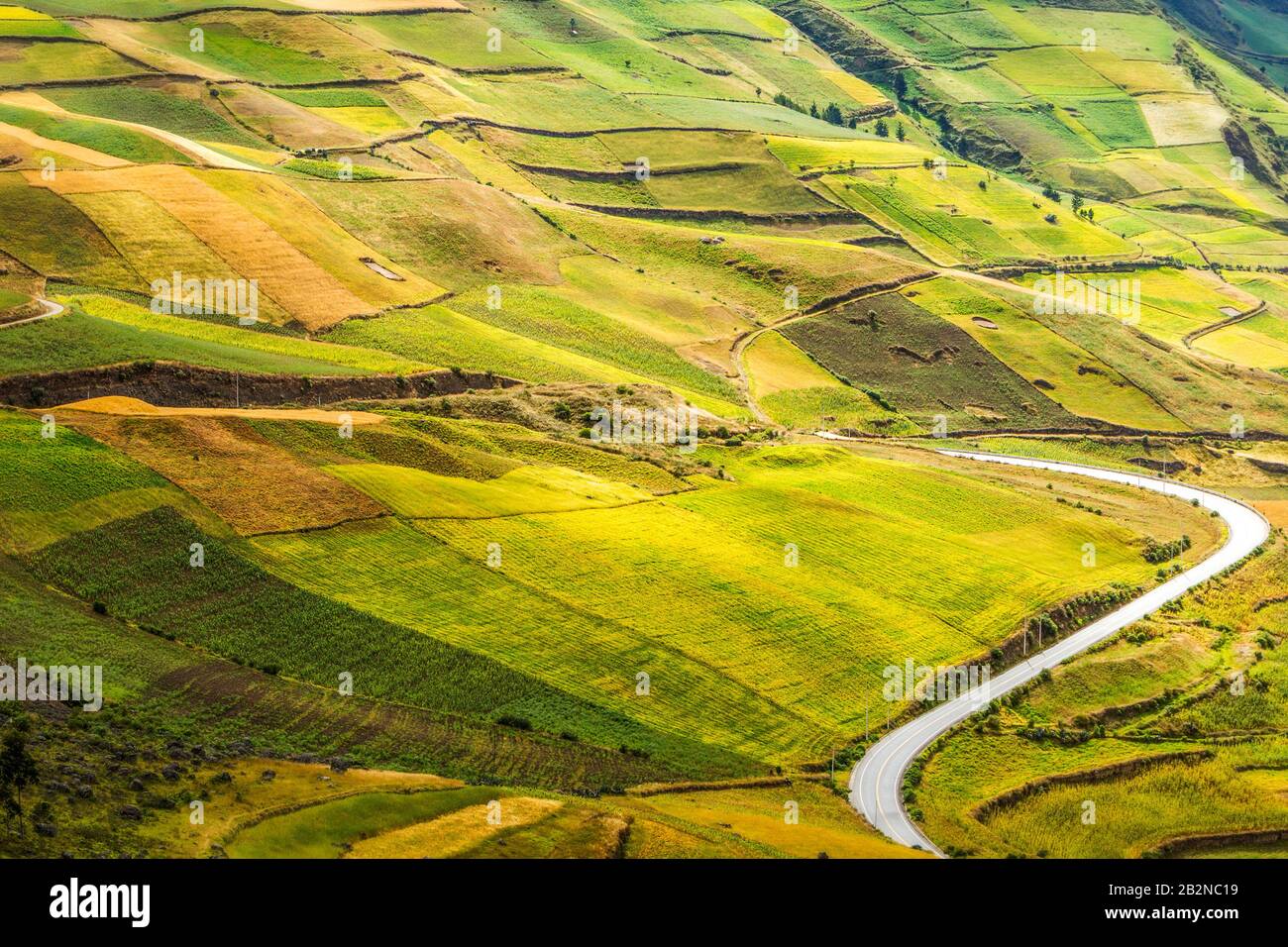 High Altitud Road In Ecuador Intersection Agricultural Landscape Stock ...