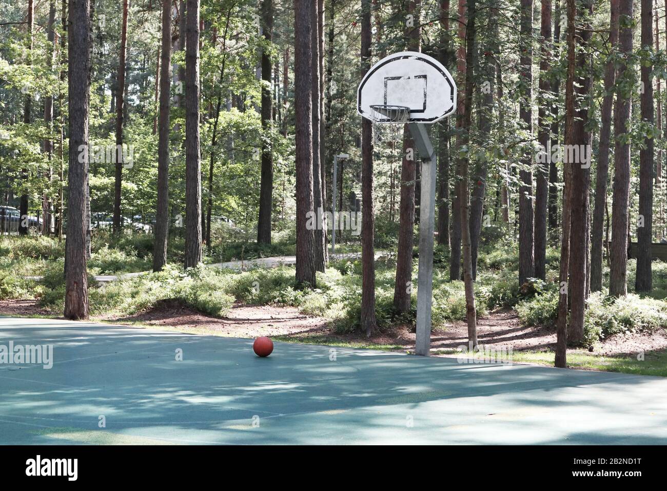 The forest court hi-res stock photography and images - Alamy