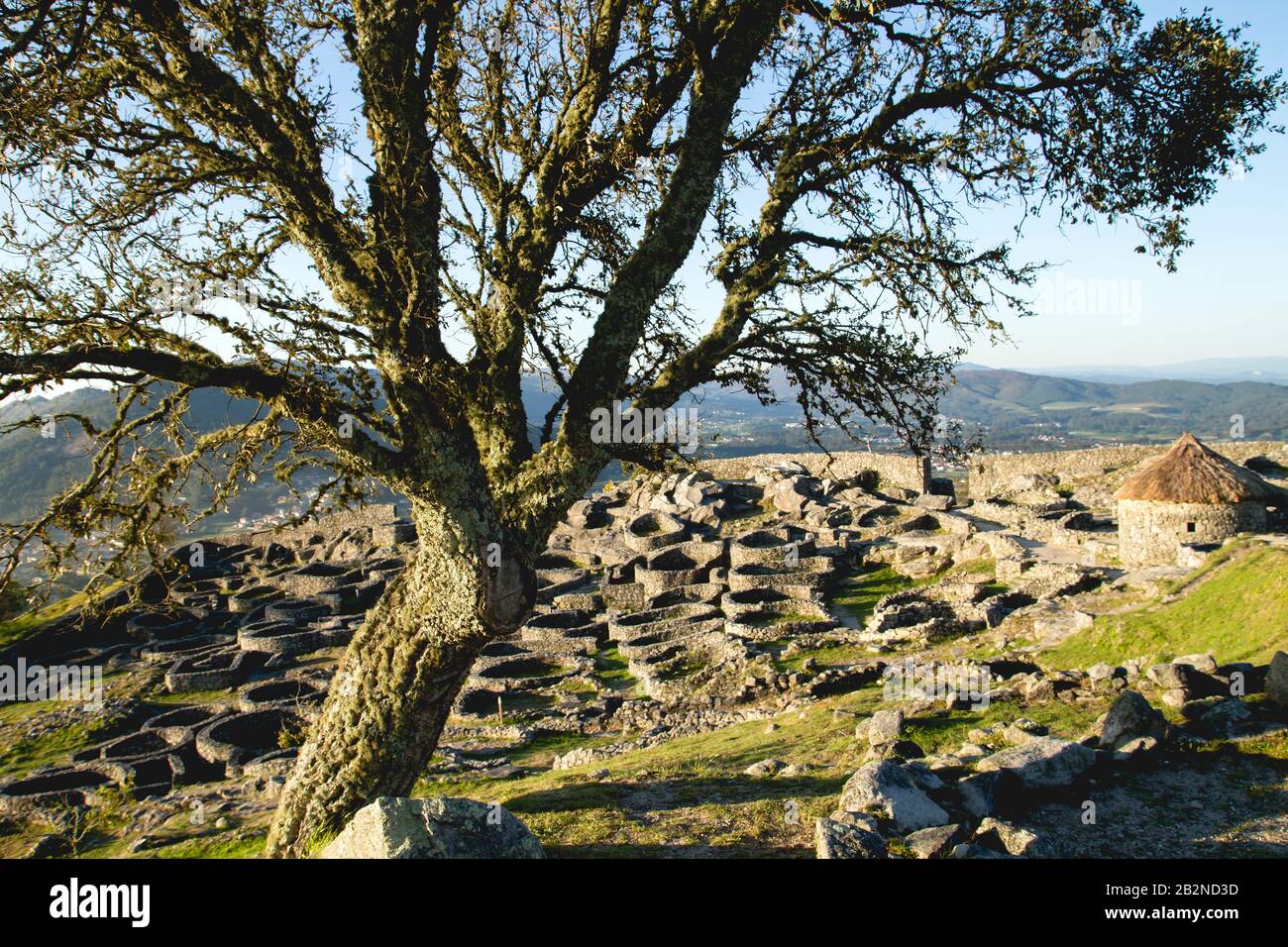 Ancient stone structures in Castro de Santa Trega, Galicia, Spain Stock ...