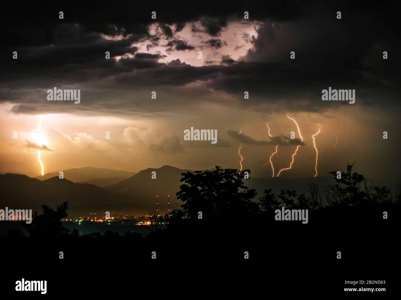 Rare moment in nature hi-res stock photography and images - Alamy