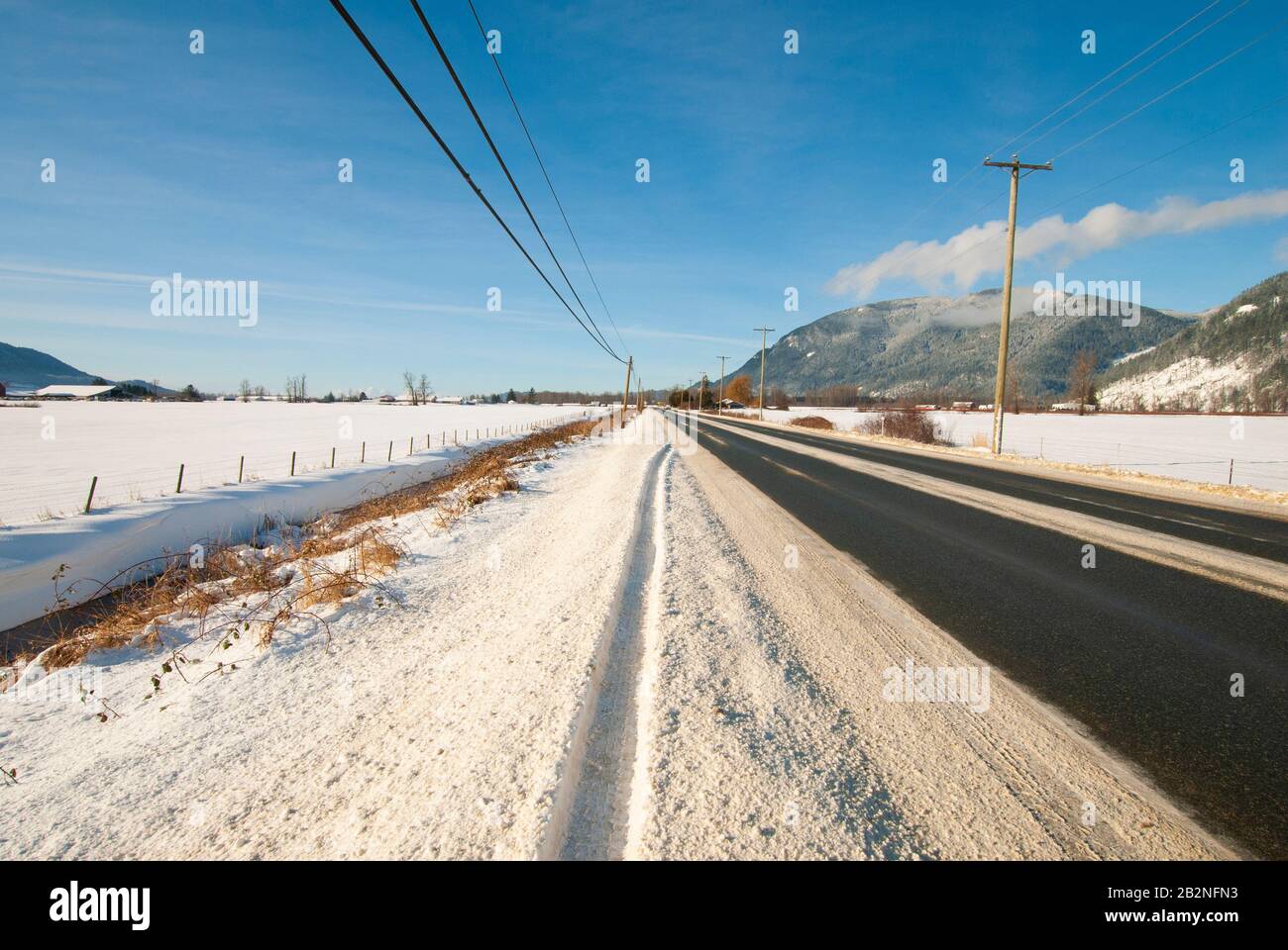 British columbia snow field trees hi-res stock photography and images ...