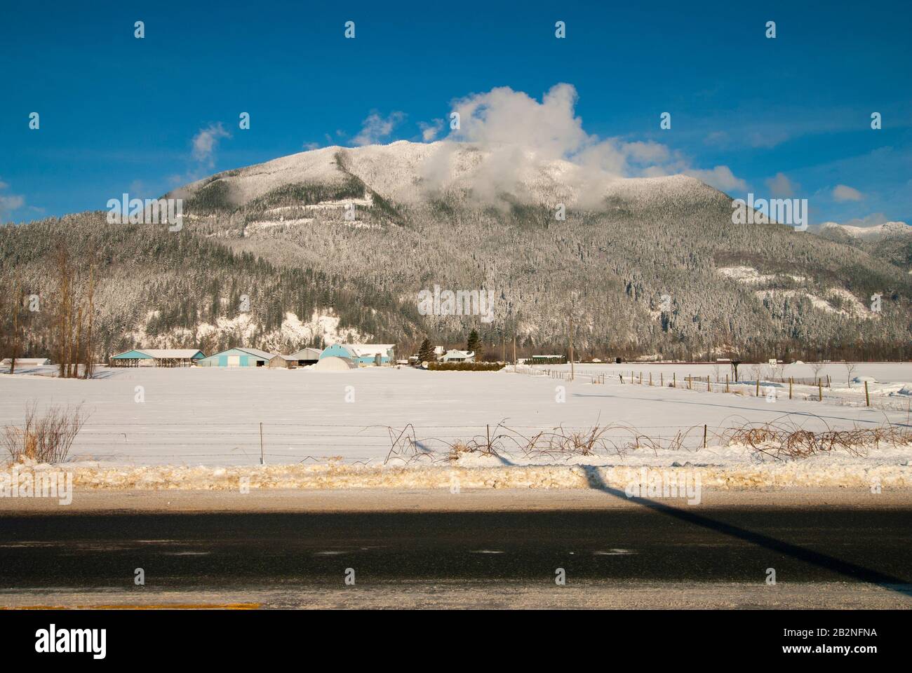 Winter on Nicomen Island, British Columbia, Canada Stock Photo - Alamy