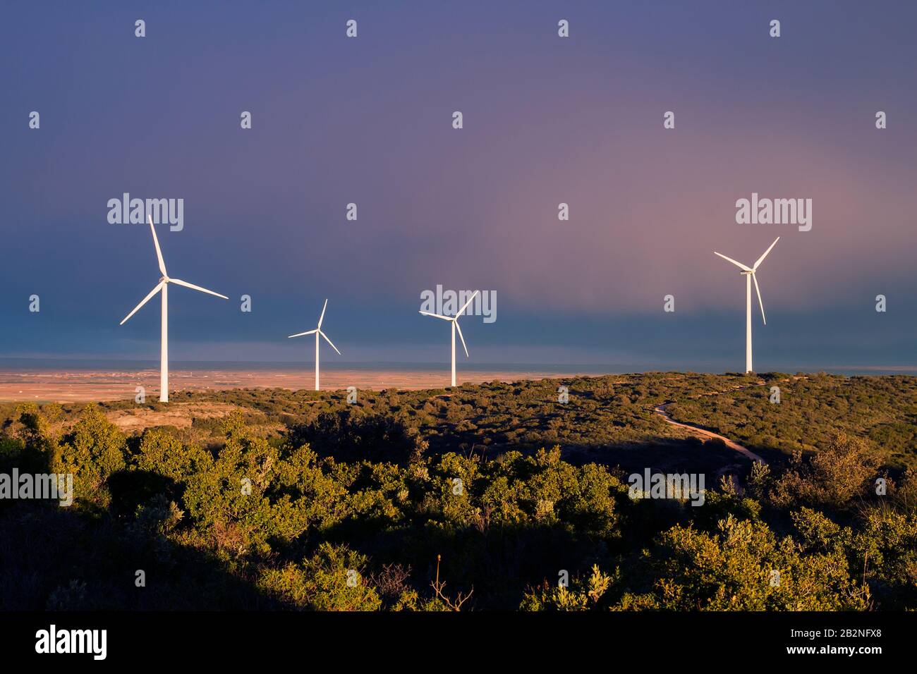 Wind turbines generating clean renewable energy Stock Photo - Alamy
