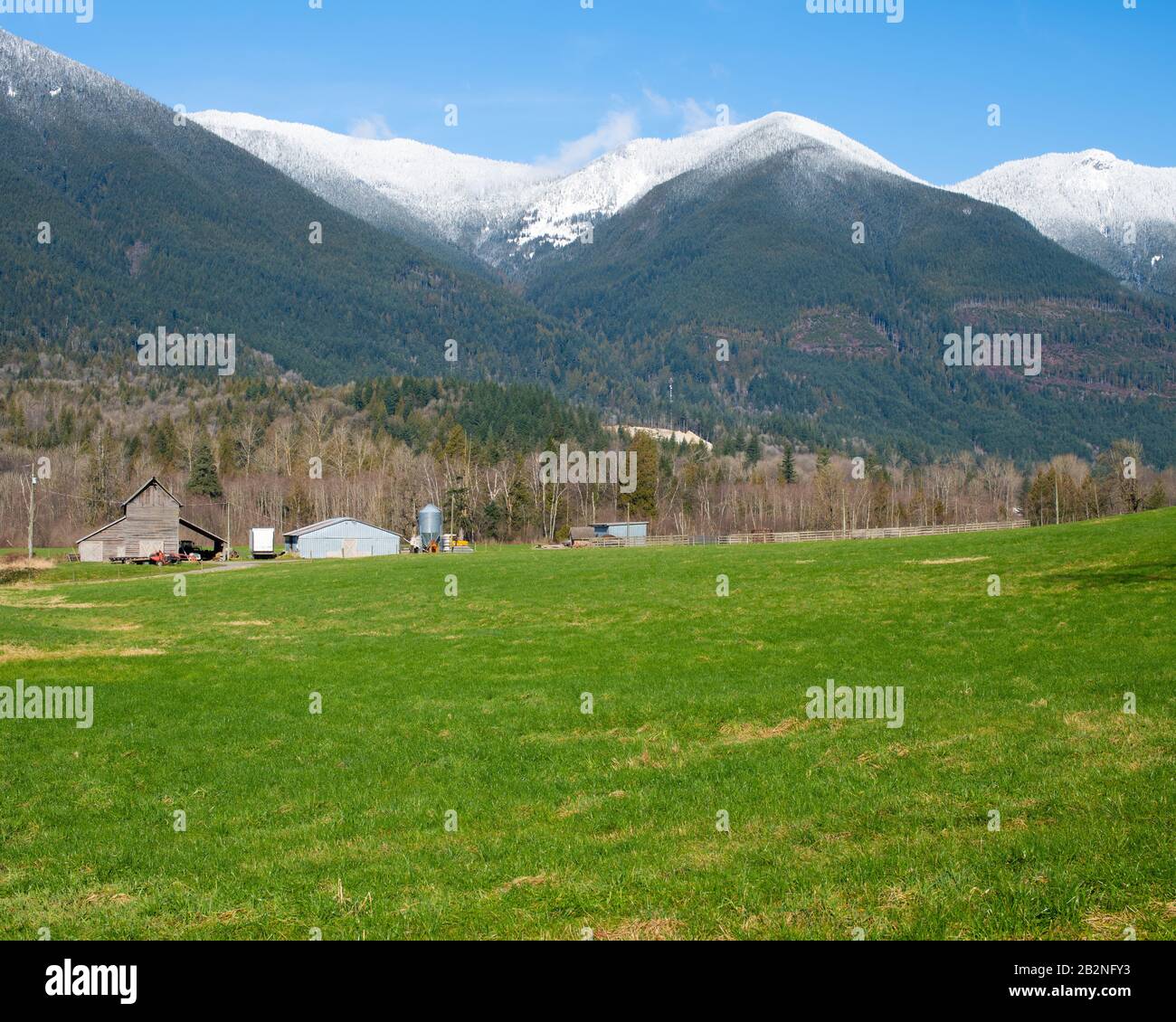 Agricultural land on Nicomen Island near Deroche, British Columbia ...