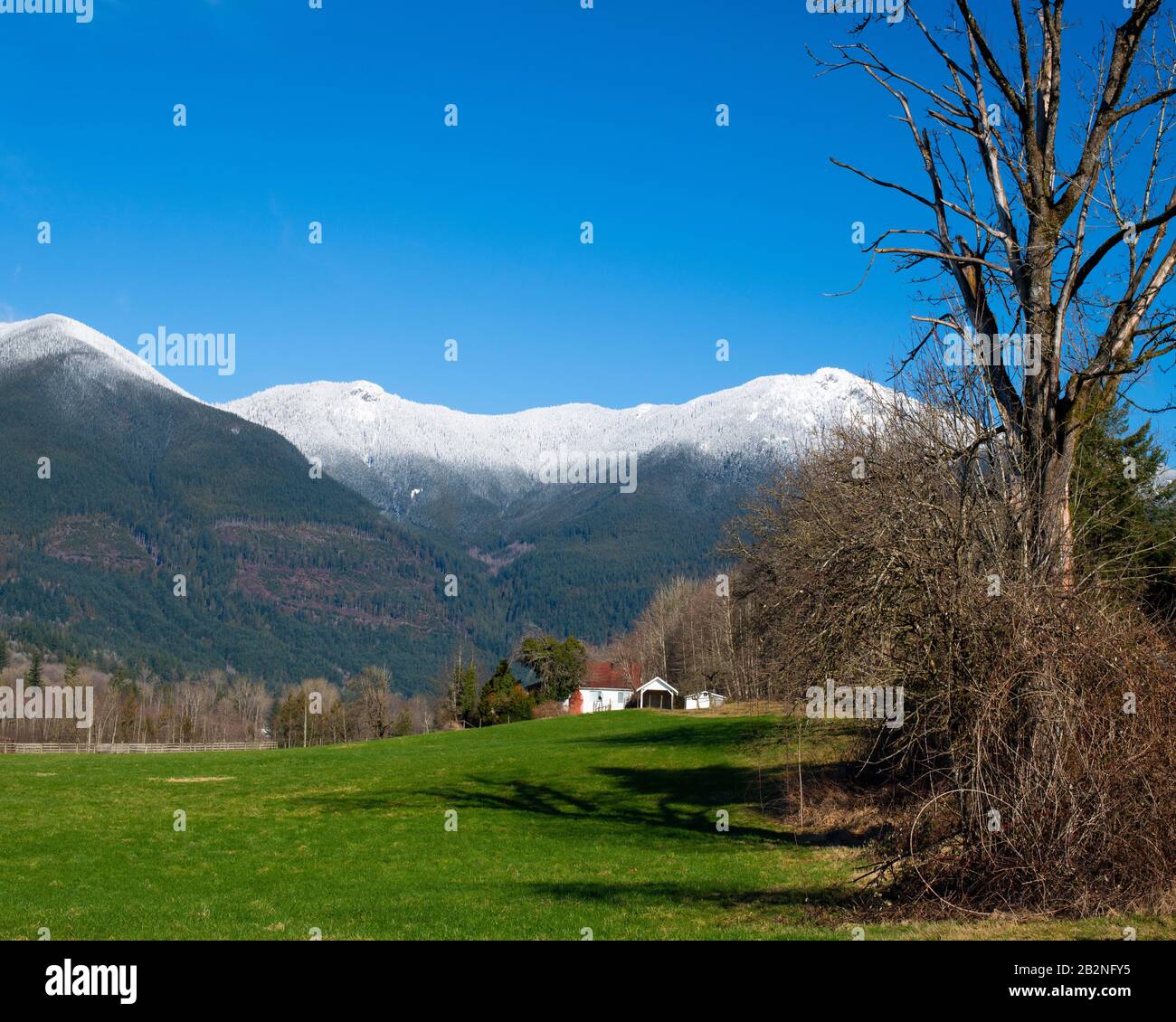 Agricultural land on Nicomen Island near Deroche, British Columbia ...